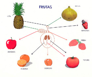 luis precioso: clasificacion de frutas